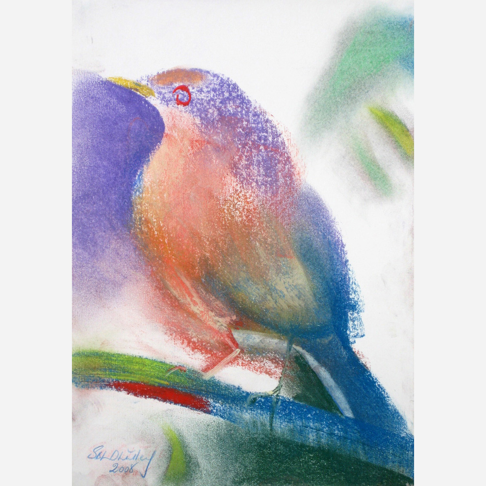 The Clay-Colored Robin. 2008 by Stephen B Whatley - STEPHEN B. WHATLEY